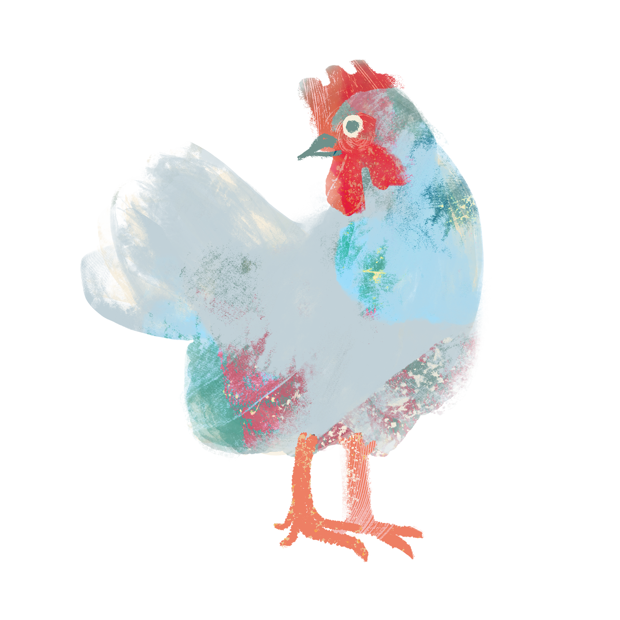 Solution de lutte biologique contre les poux rouges des poules | Insect ...