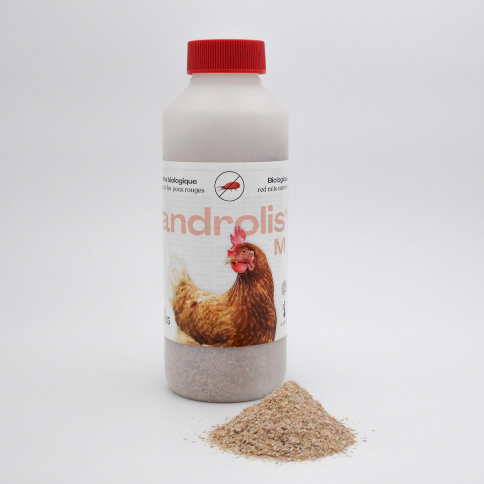 Poux Rouge - Lutte biologique contre les poux de poules | Insect Heroes ...