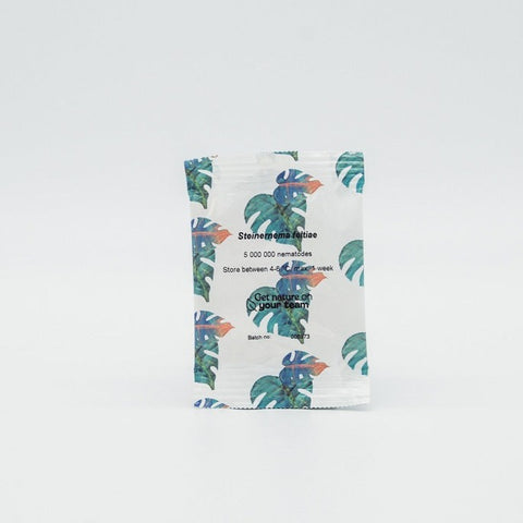 Anti Thrips Lutte bio efficace Nématodes SF | Insect Heroes France