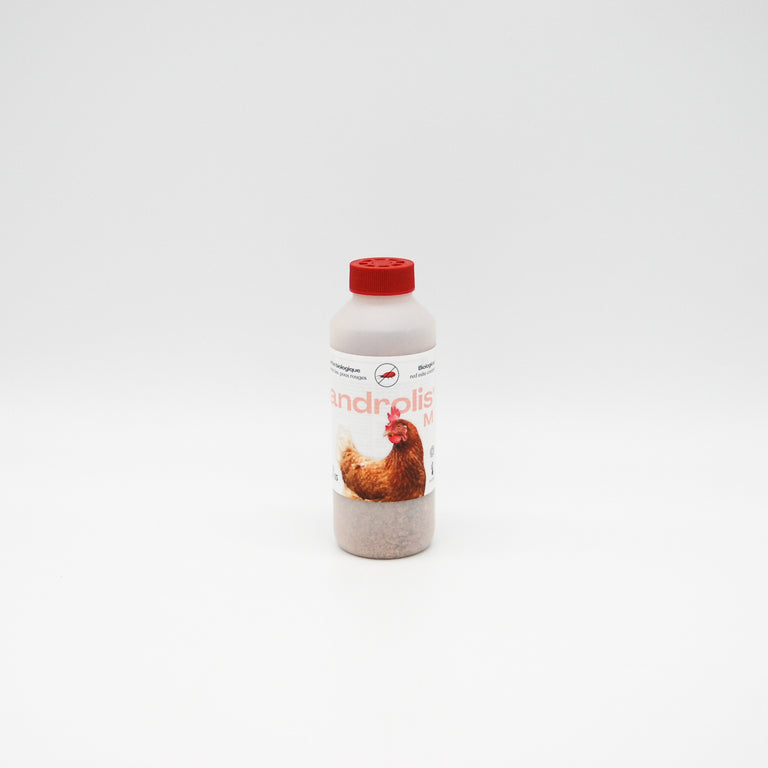 Comment se débarrasser des poux rouges des poules - Androlis, acariens ...